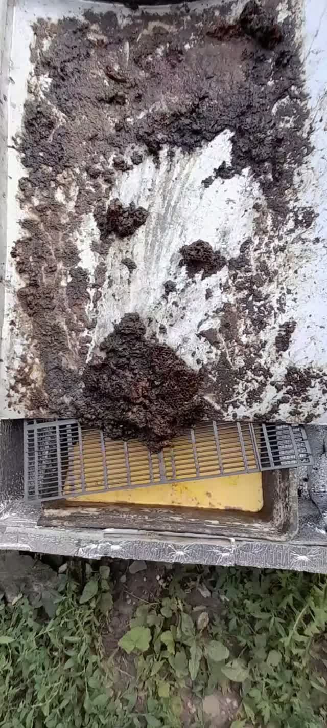 Солнечная воскотопка