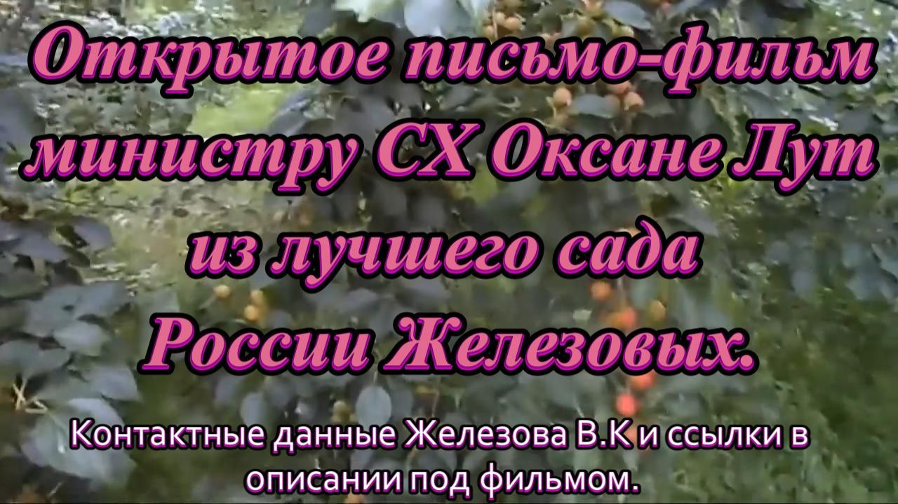 Открытое письмо-фильм министру СХ Оксане Лут из лучшего сада России Железовых.