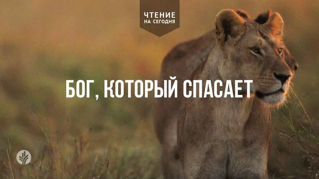 АУДИО | 2026 | Ежедневное христианское чтение