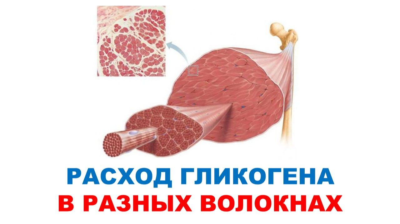 Обзоры исследований