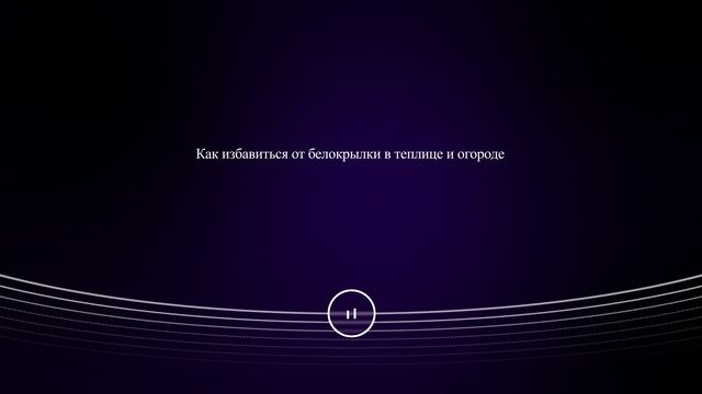 Как избавиться от белокрылки в теплице и огороде