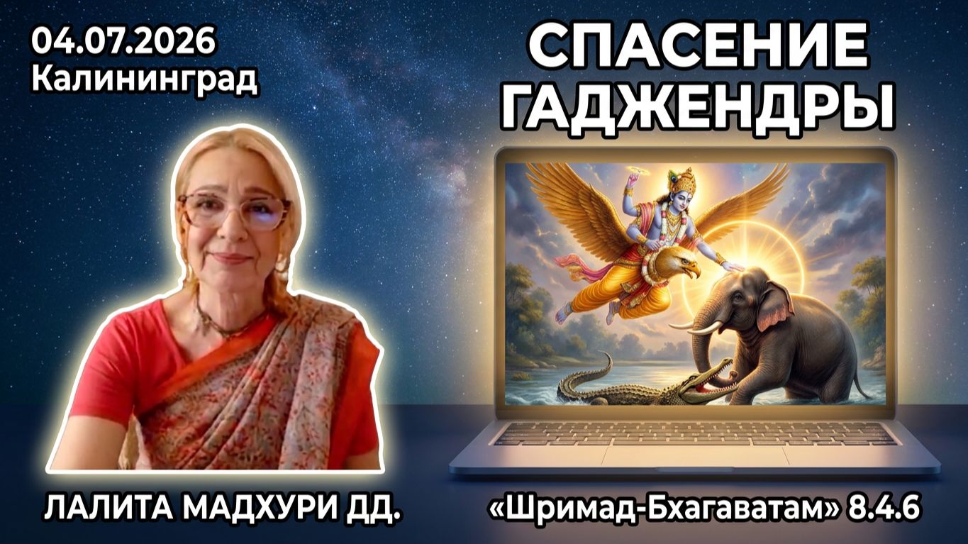 Спасение Гаджендры. Чудодейственное прикосновение Господа. Лалита Мадхури. «Шримад-Бхагаватам» 8.4.6
