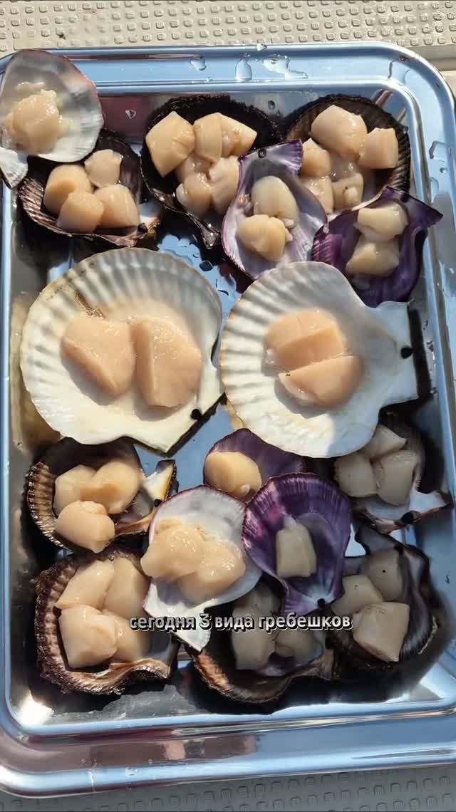 Морской тур с рыбалкой и дегустацией морепродуктов