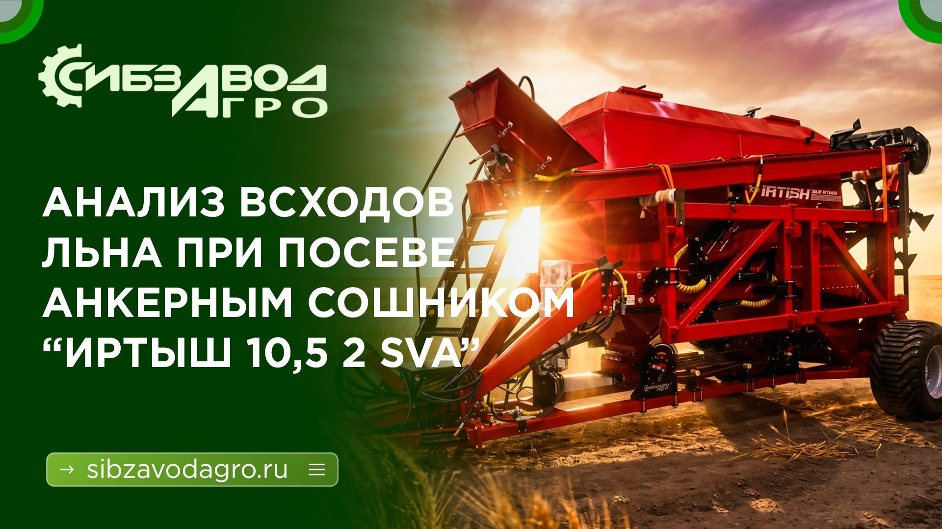 Всходы льна после анкерного посевного комплекса "Иртыш 10,5 2 SVA"