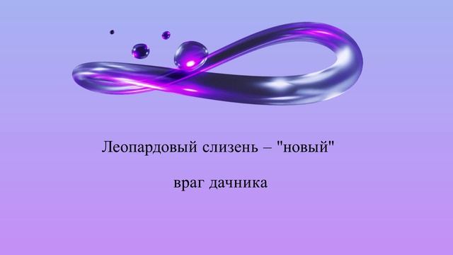 Леопардовый слизень – "новый" враг дачника