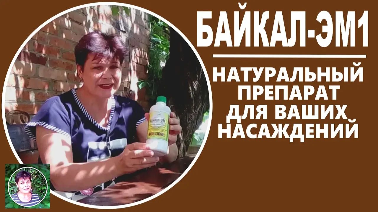 Байкал М1 применение: мой опыт использования на огороде и в быту