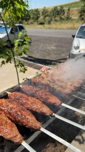 Самый быстрый и вкусный шашлык