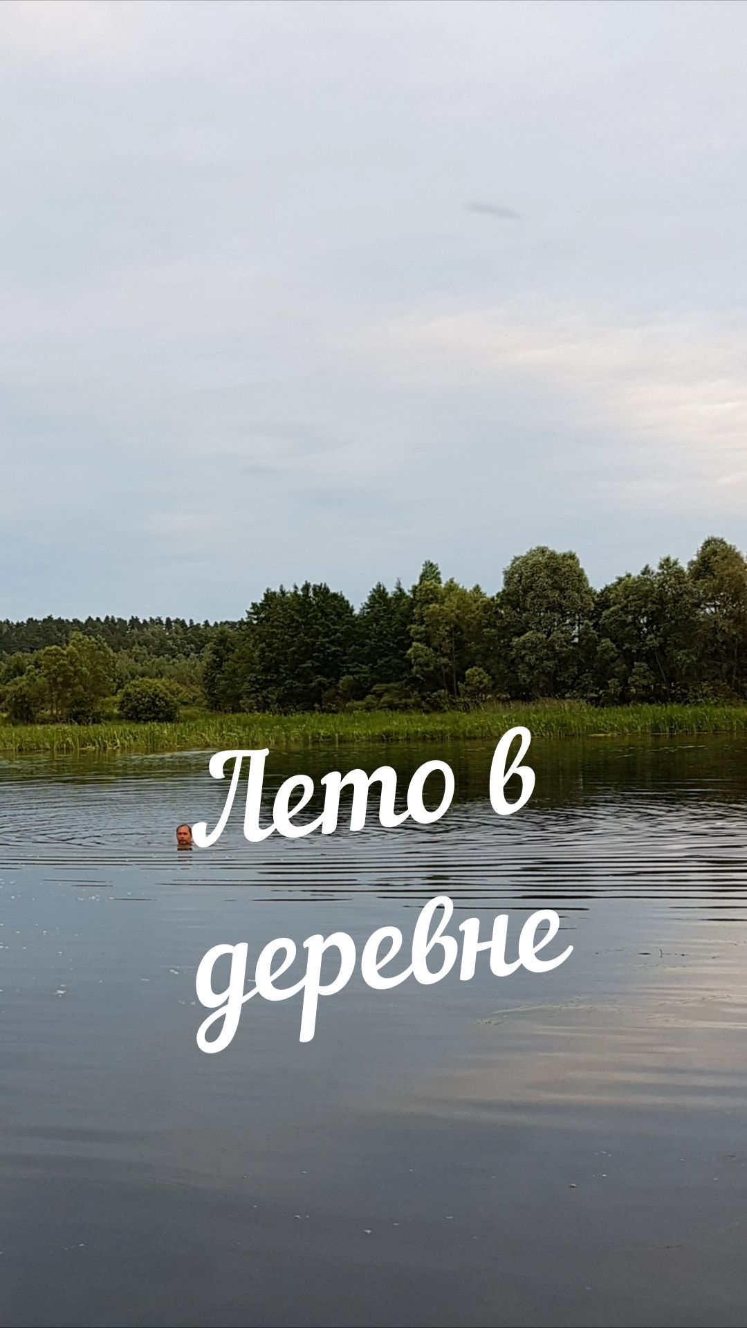 Сад, огород.