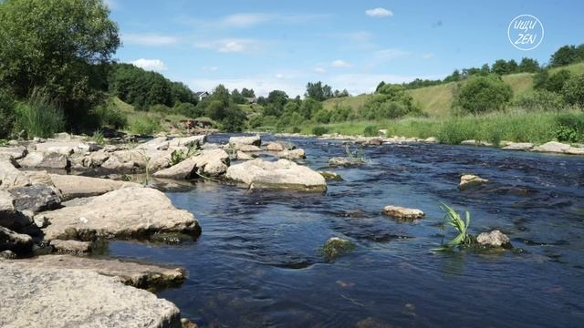 Река в средней полосе | Летняя жара и природа 4K | Короткий детокс | ИЩИ ZEN