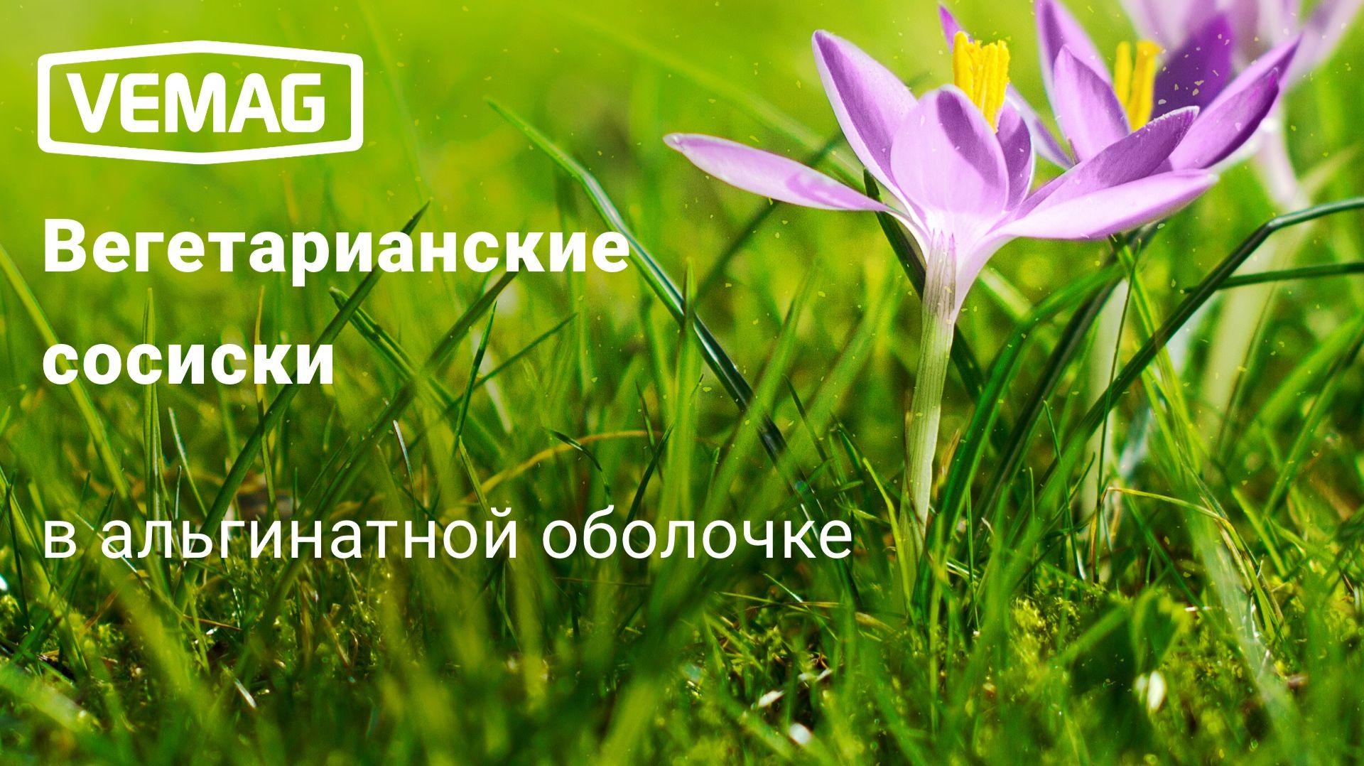 VEMAG HP20E + CC215: выпуск растительных сосисок в альгинатной оболочке