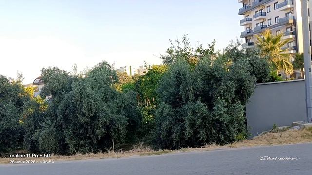 Утренняя Велопрогулка через Авсалар и Тюрклер.