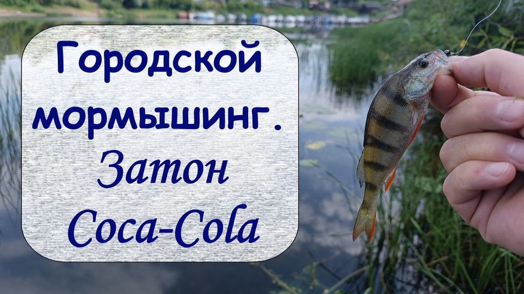 Рыбалка в Нижнем Новгороде (стритфишинг)