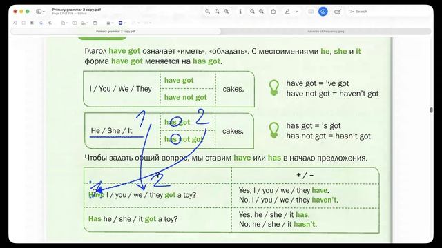 have got / has got (наличие, обладание, у меня есть...)