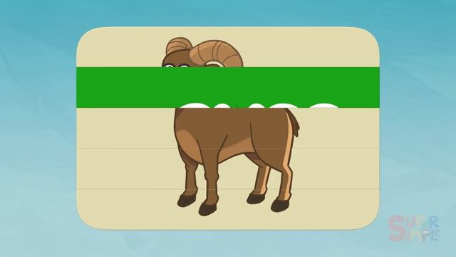 Word Family “am” _ Turn & Learn ABCs _ Preschool Learning