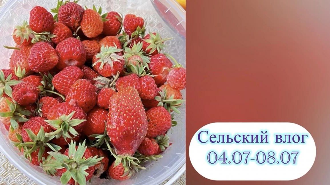 Сельский влог. 04.-08