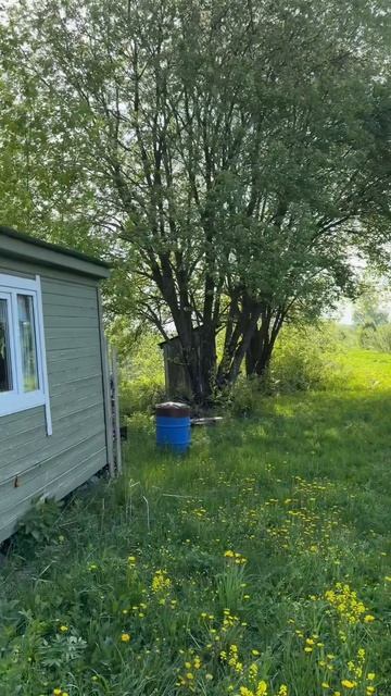Участок 25 соток с небольшим домиком в дер. Рябинино Владимирской обл.