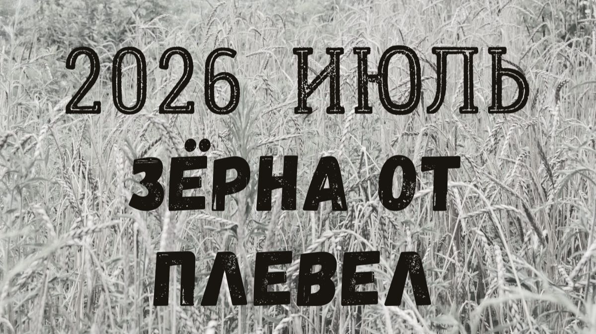 Яснознание и инсайты