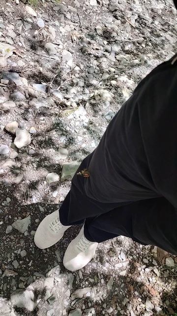 Поздоровались с бабочкой в горах.