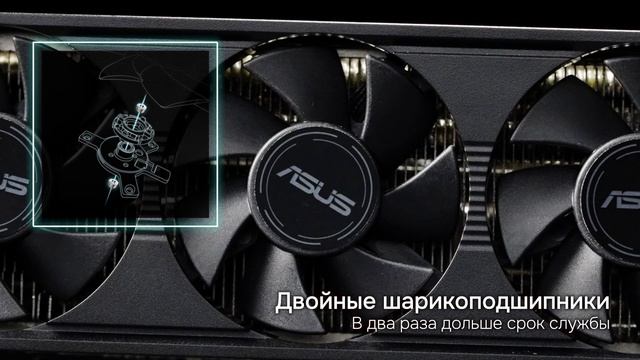 Видеокарты