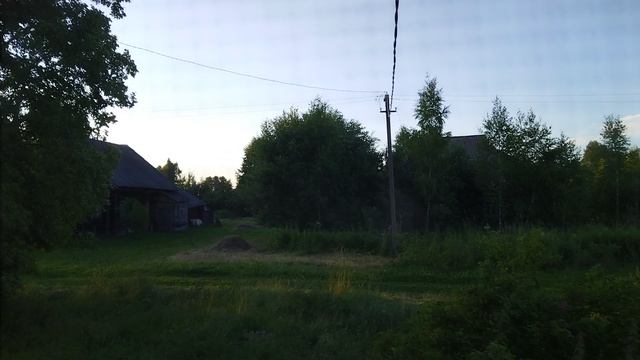 Аист за окном 6 июля