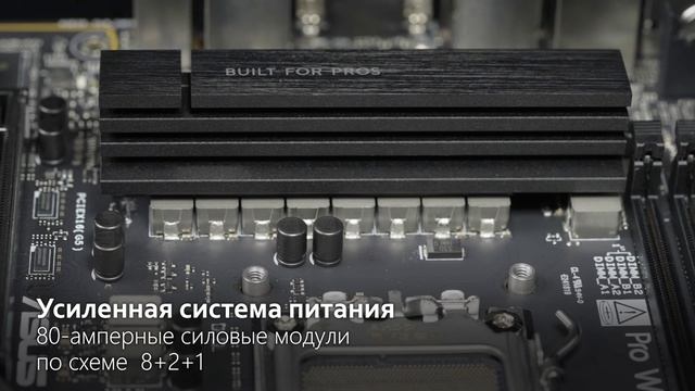 Pro WS B850M-ACE SE RU