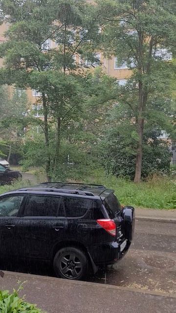 Ливень в Калининграде. Шум дождя