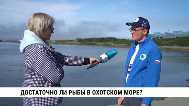 ЭКСПЕРТНОЕ МНЕНИЕ / СМОТРИ ХАБАРОВСК