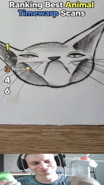 Короткие Видео от Типыча