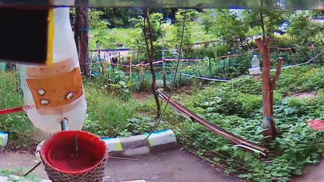 В генеральную прокуратуру РФ Нарушения ПДД и САНПИН