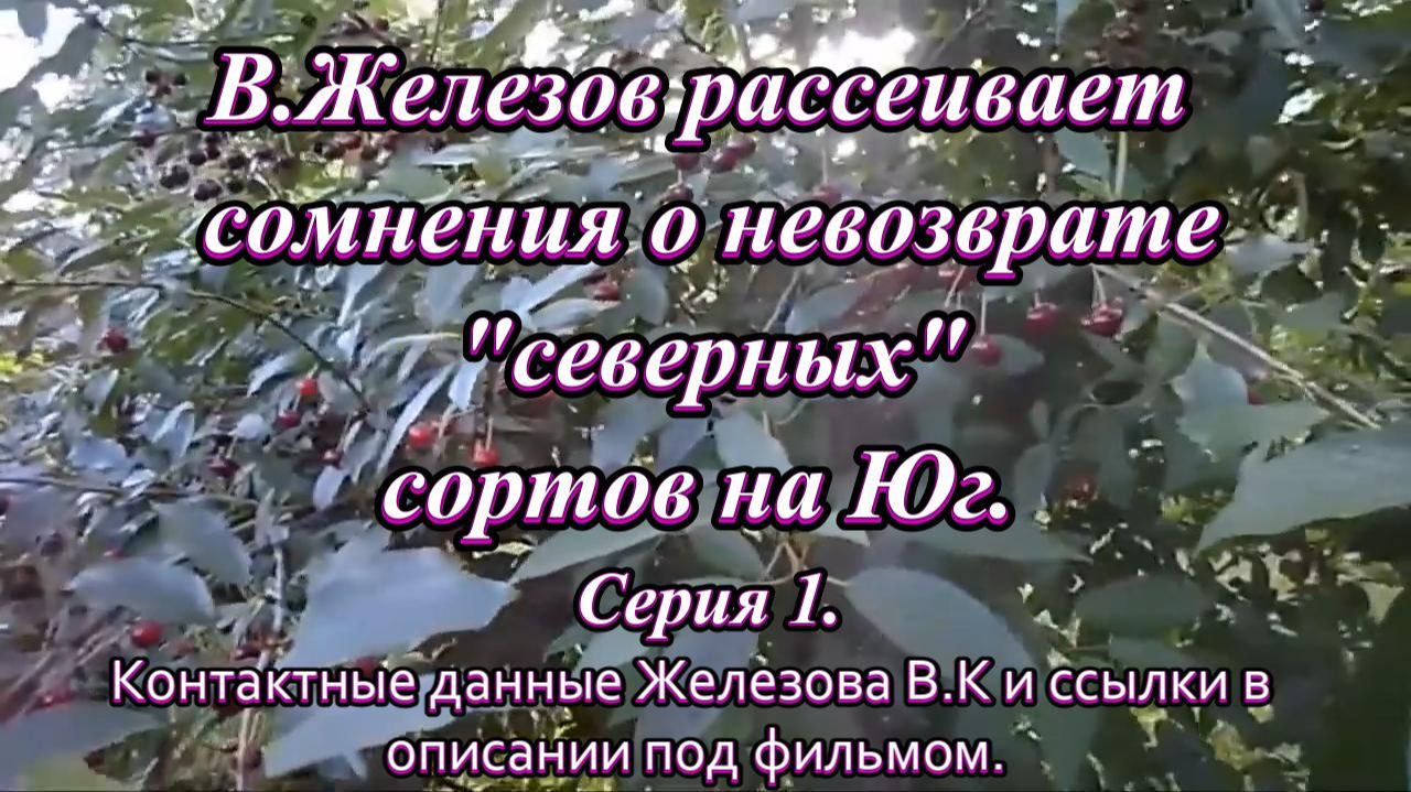 Разное