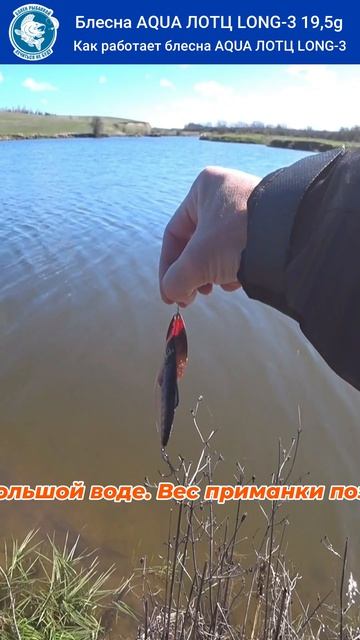 Дальнобойная вертушка LONG-3 19,5 г для ловли щуки, судака и крупного окуня!
