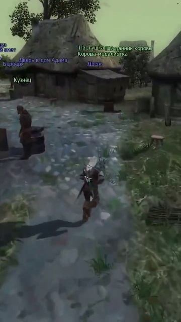 Сестры годы или странные👩🏻_🐰_👩🏼😅 #vilmarionv #gaming #games #game #witcher #old #ведьмак #игры