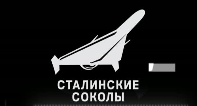 Обзор на "Модуль защиты паха четерехсекционный "Клевер"