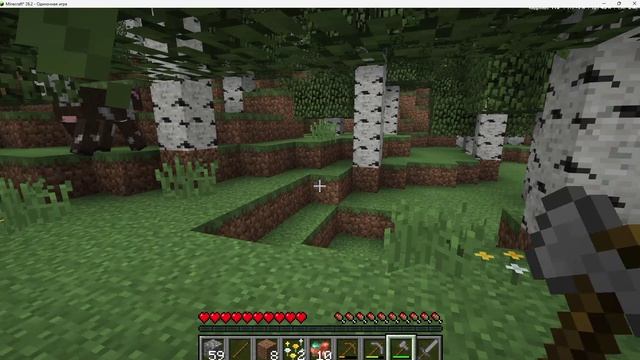 Minecraft