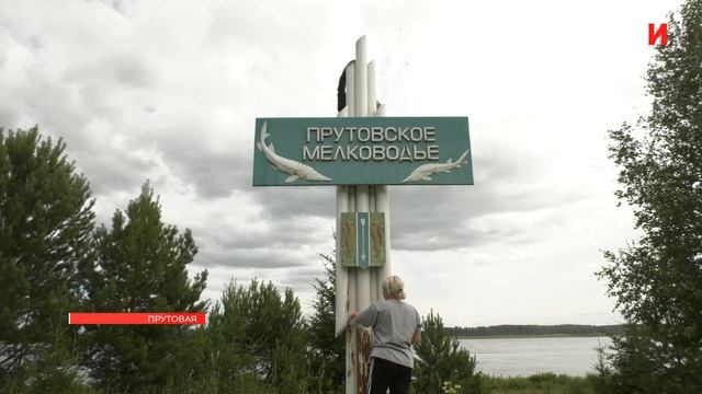 НА ПРУТОВСКОМ МЕЛКОВОДЬЕ ПРОВЕЛИ АКЦИЮ «ЧИСТАЯ ВОДА»