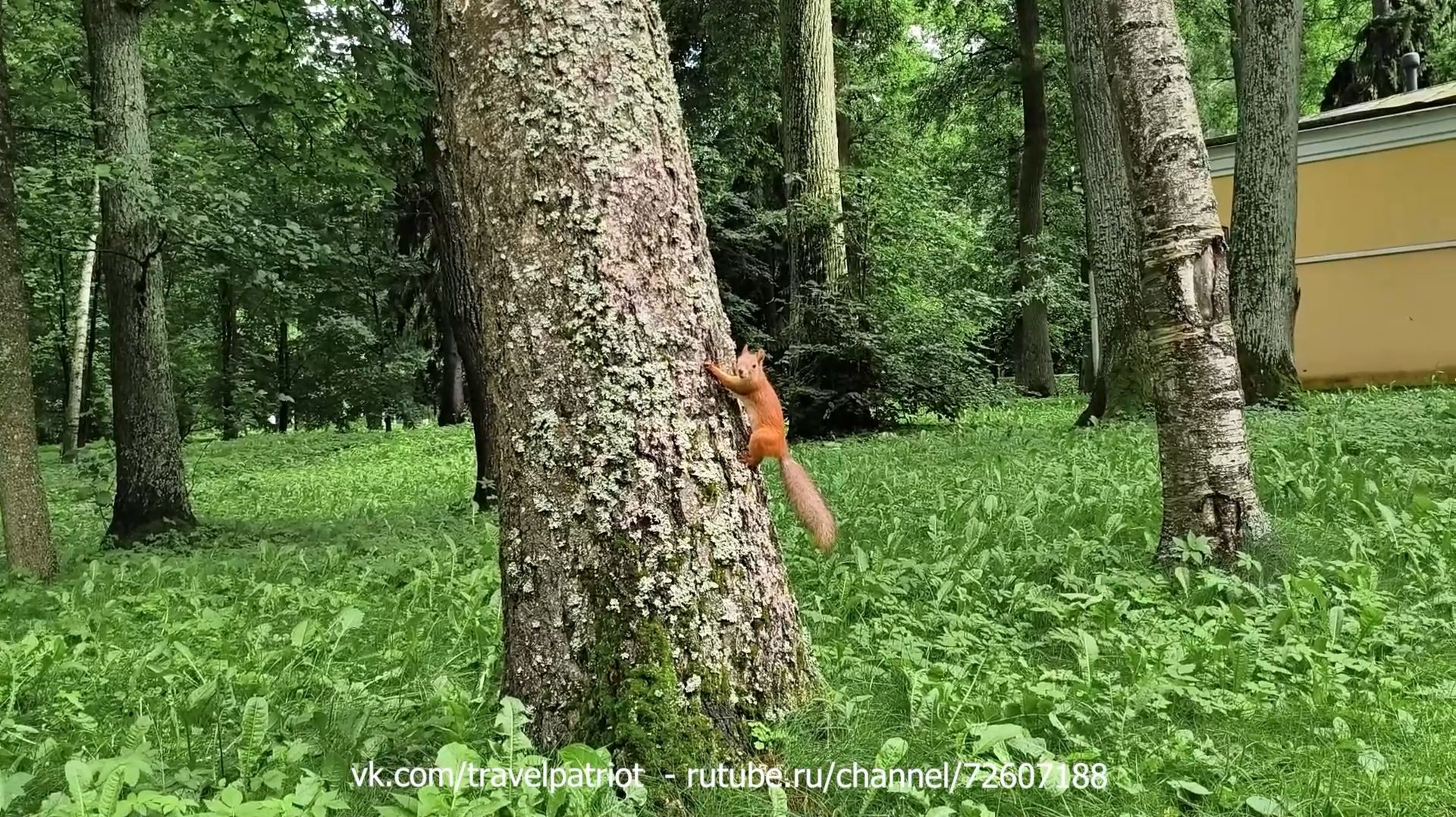 Лучшие места в мире