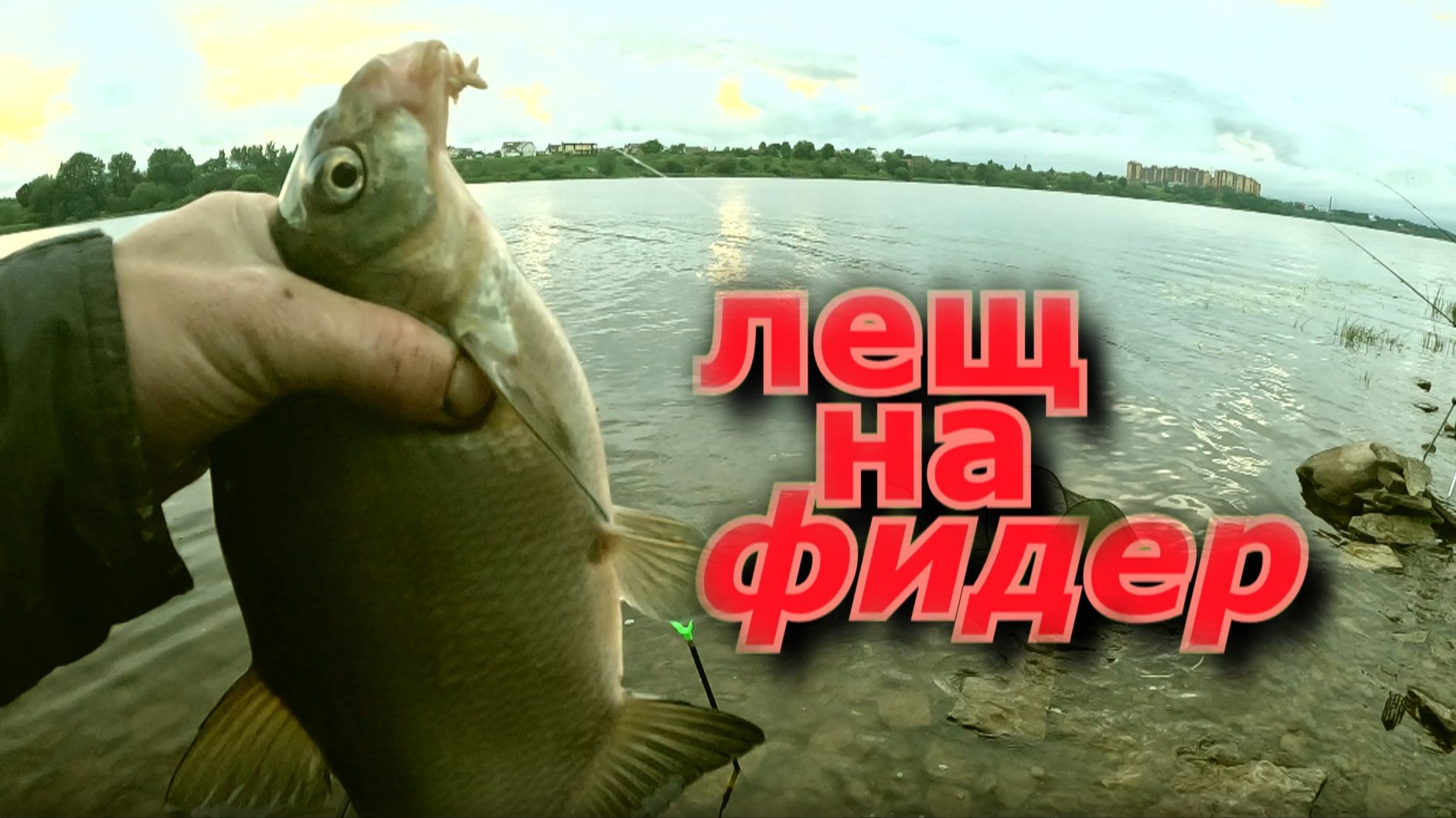 Рыбалка на фидер