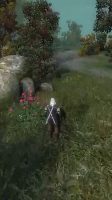 Осуждаю этот конкурс😅 #vilmarionv #gaming #games #game #witcher #old #ведьмак #игры #nostalgia