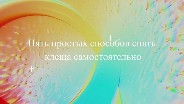 Пять простых способов снять клеща самостоятельно