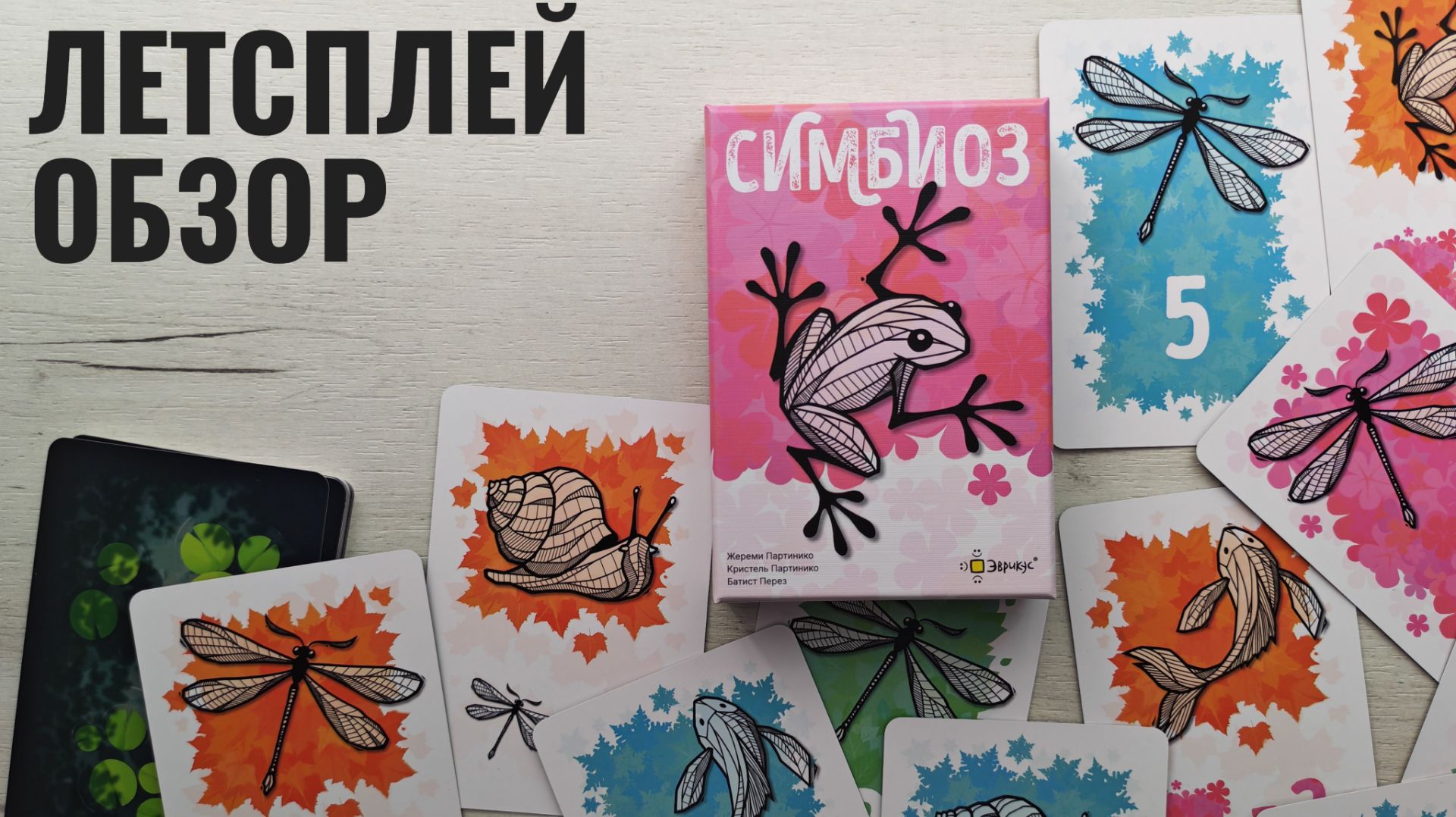 Симбиоз 🦊 играем в настольную игру