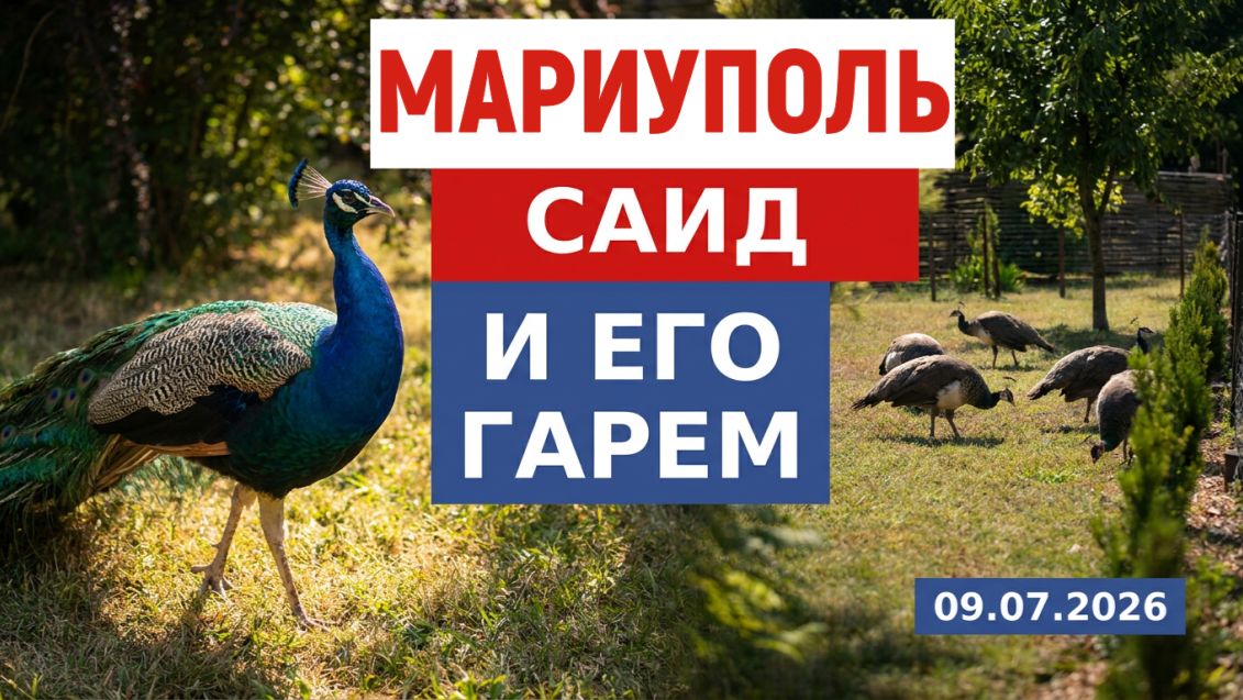 МАРИУПОЛЬ САИД И ЕГО ГАРЕМ живут в Восточном жмр. 09.07.2026