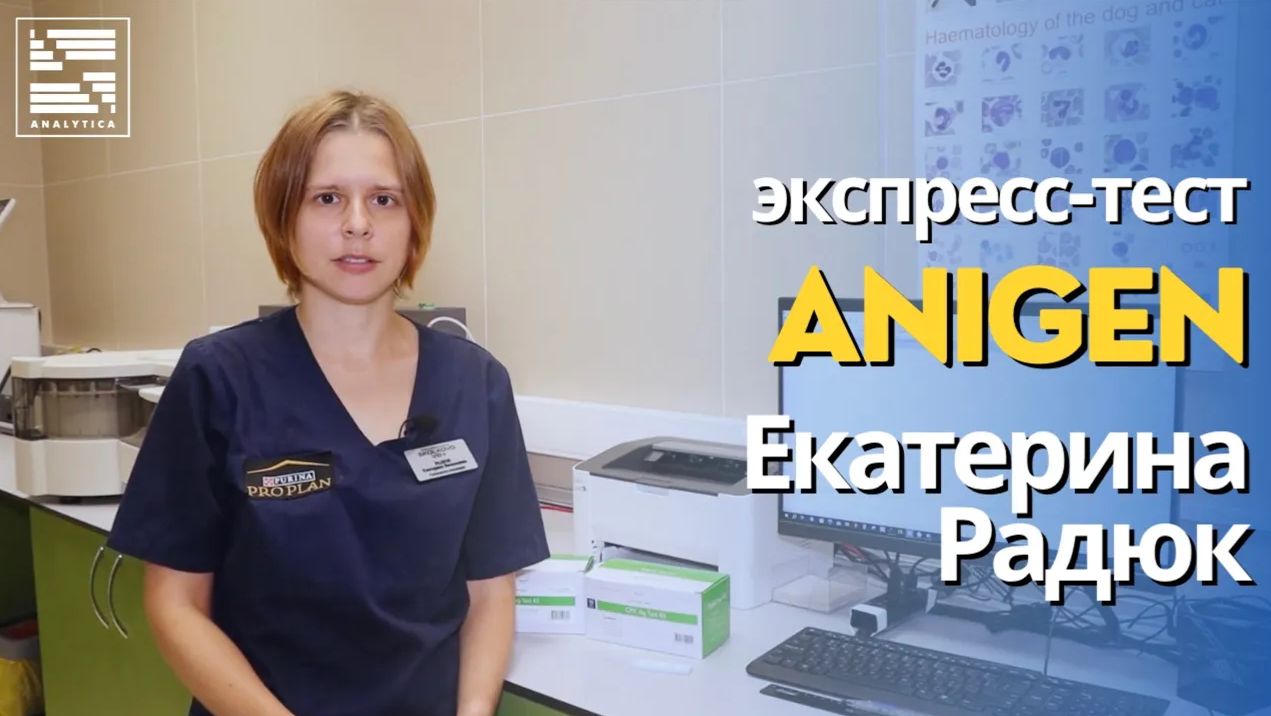 Отзывы об экспресс-тестах