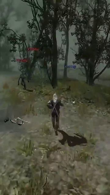 Тусня на болотах😜🙃 #vilmarionv #gaming #games #game #witcher #old #ведьмак #игры #nostalgia #old