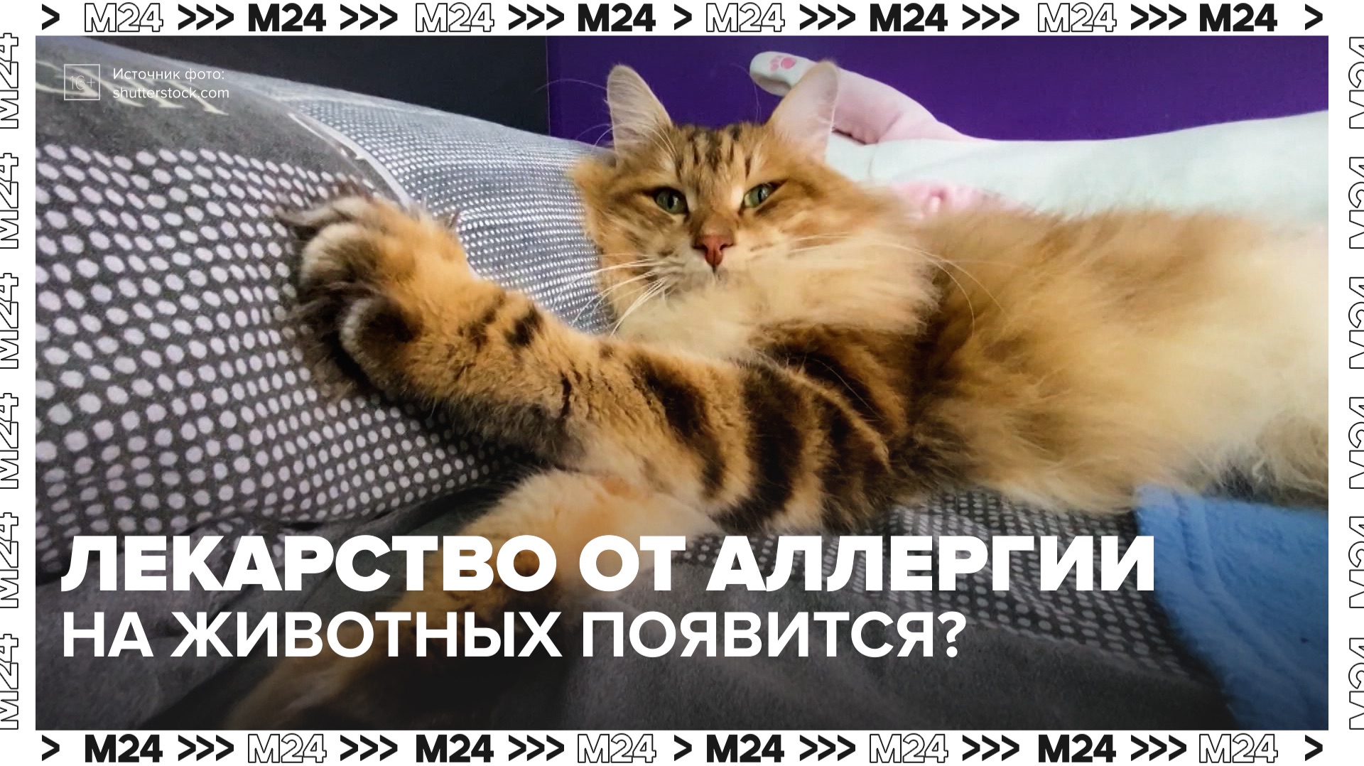 Лекарство от аллергии на животных может появиться в России — Москва 24