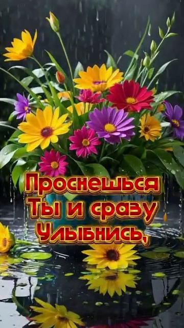 Хорошего летнего денечка!