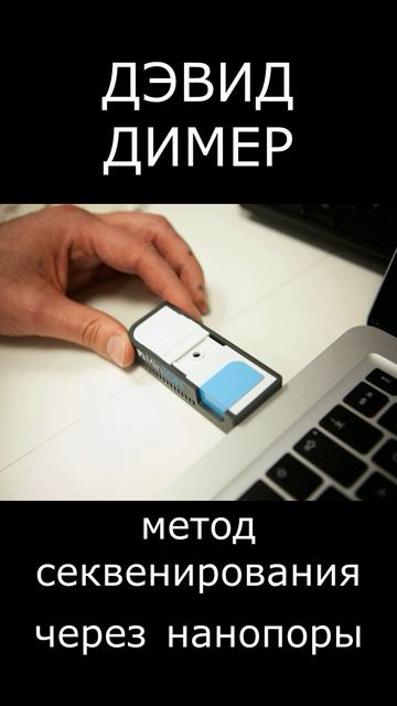 ДЭВИД ДИМЕР. СЕКВЕНАТОРЫ. ЧУДНЫЕ И РАЗНЫЕ