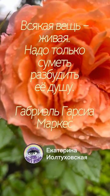 Мудрые цитаты. Екатерина Иолтуховская
