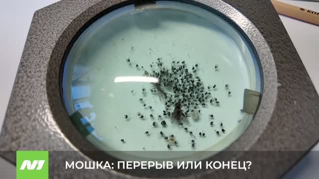 СМИ об НВГУ