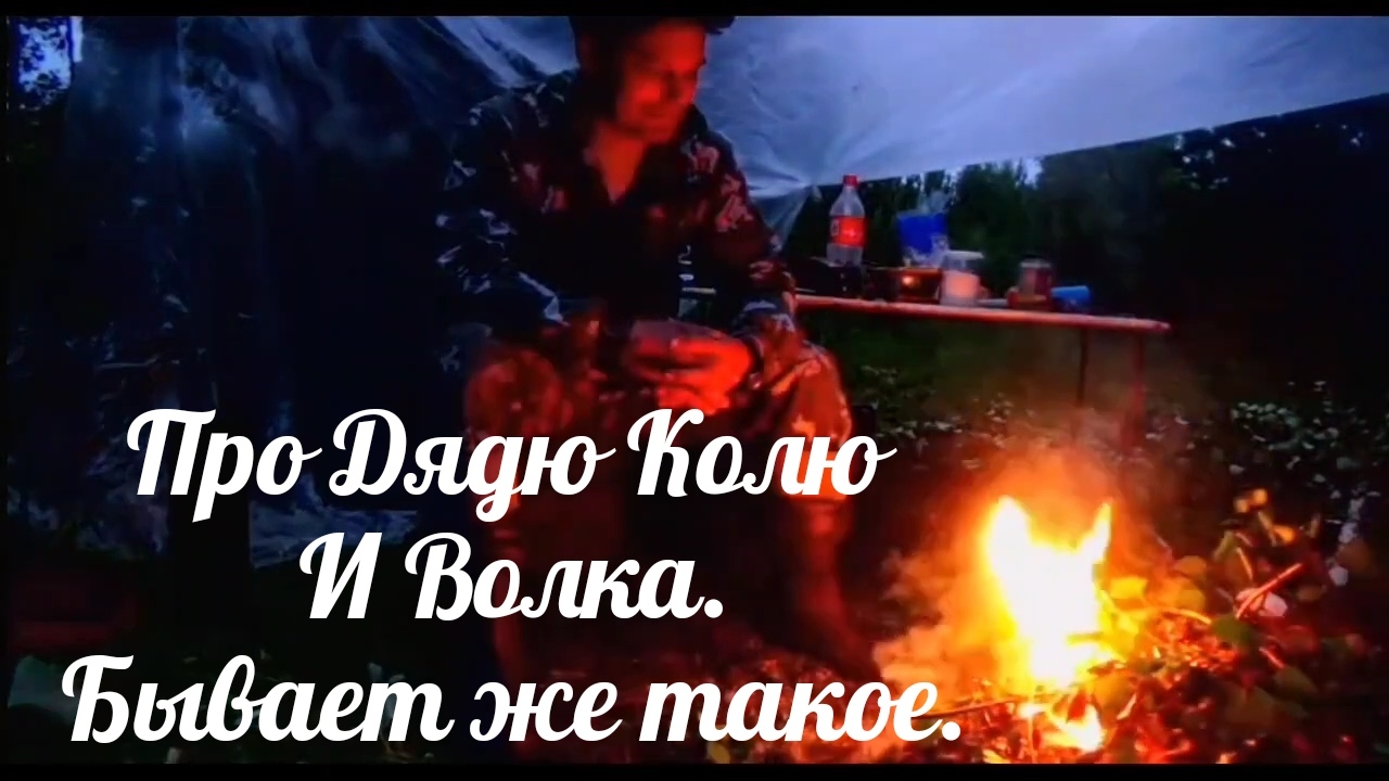 Про Дядю Колю и про Волка. История из жизни.