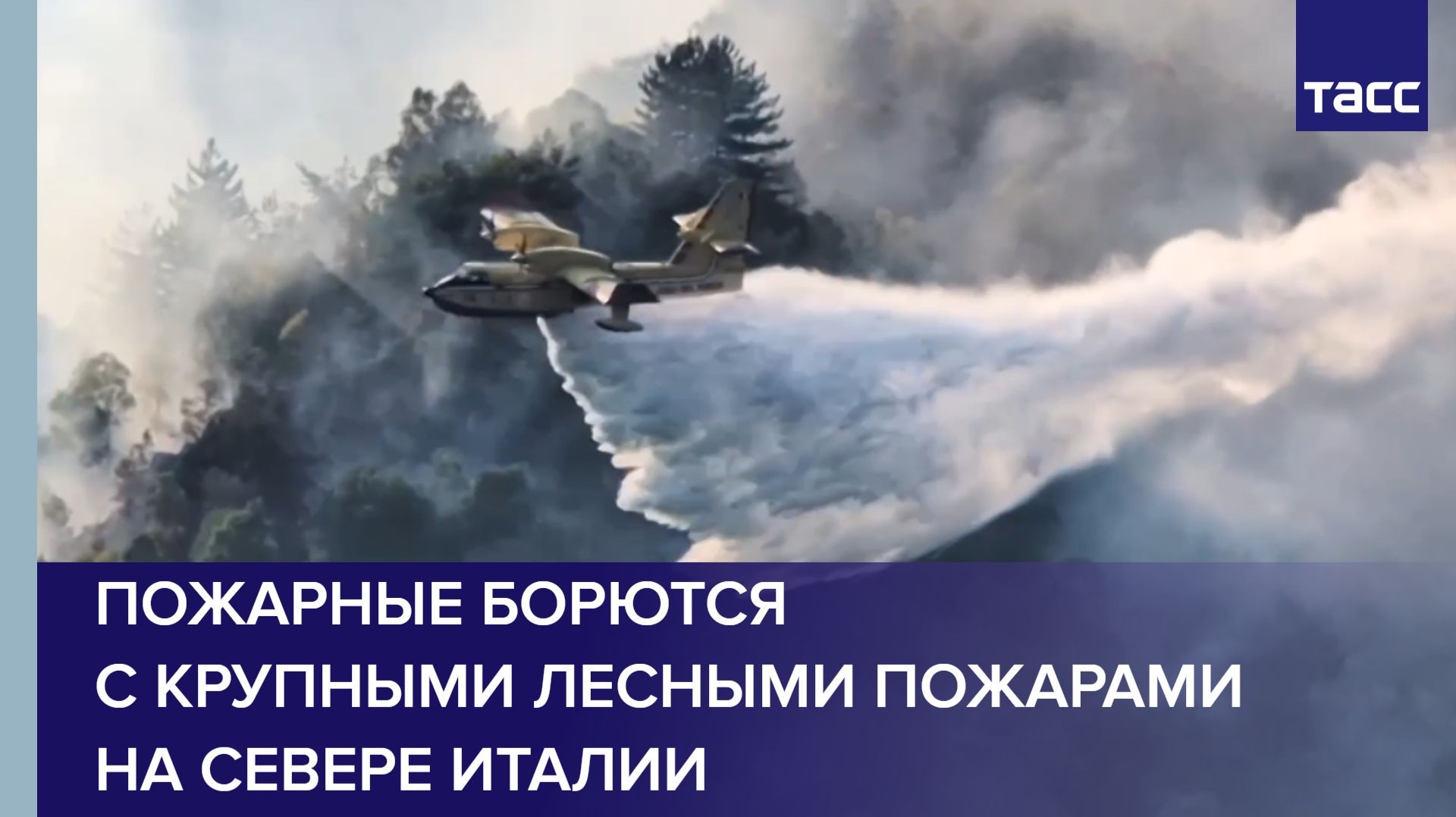 Пожарные борются с крупными лесными пожарами на севере Италии